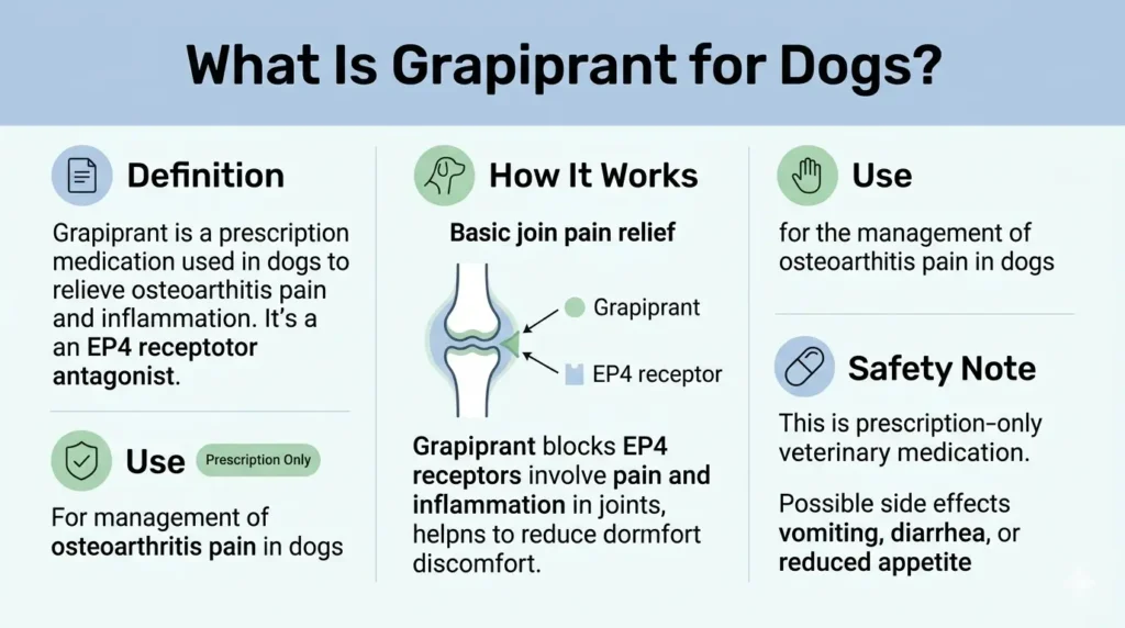 Grapiprant Dosage For Dogs: Calculator, Chart & Safe Guide